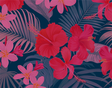 VACAYA – Full-Ship & Full-Resort LGBT+ Vacations Reimagined